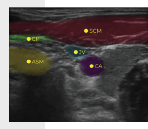How it works - Smartalpha